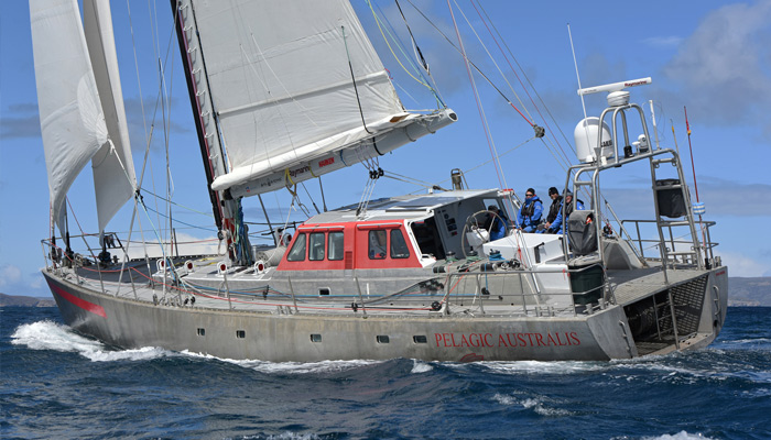 Pelagic Expeditions - Falklands to Cape Town 40 day annual Ocean ...